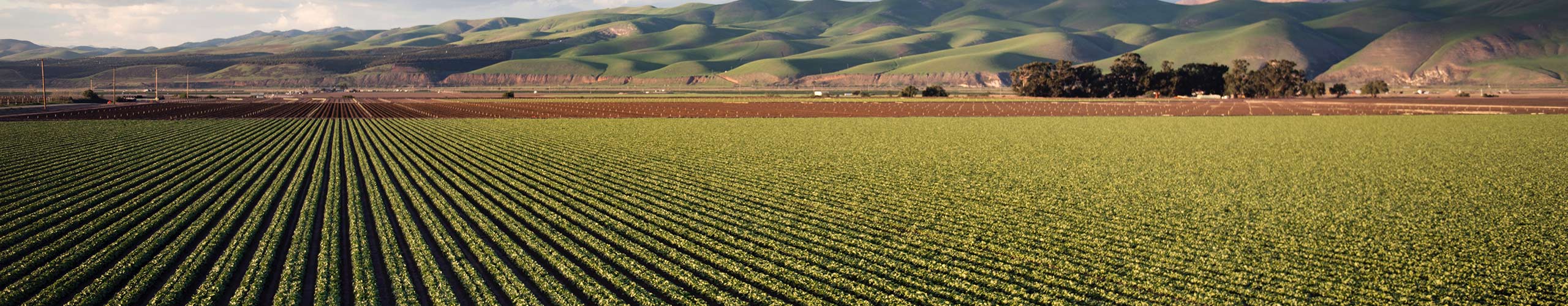 Métaprogramme XRisques - Perception & comportements